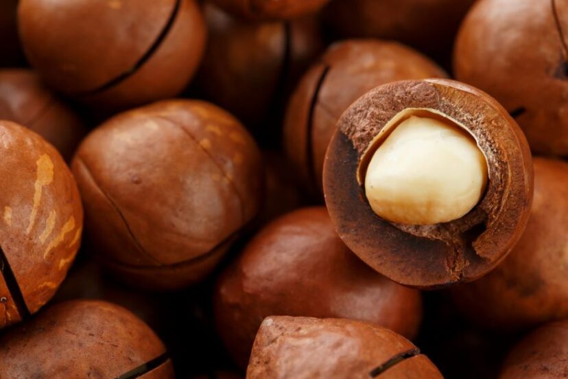 Why I Switched to Raw Macadamias - My Nutrition Foods