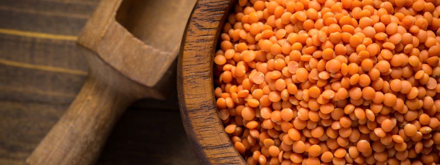 Whole Red Lentils - My Nutrition Foods