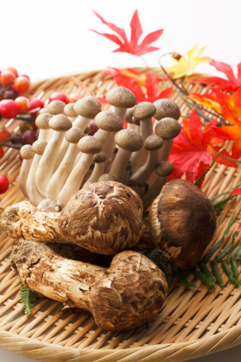 Matsutake Mushrooms: Unveiling the Culinary and Health Benefits - My ...