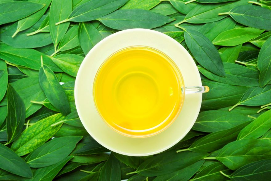 Best Tea Cups: A Guide to Quality and Style - My Nutrition Foods