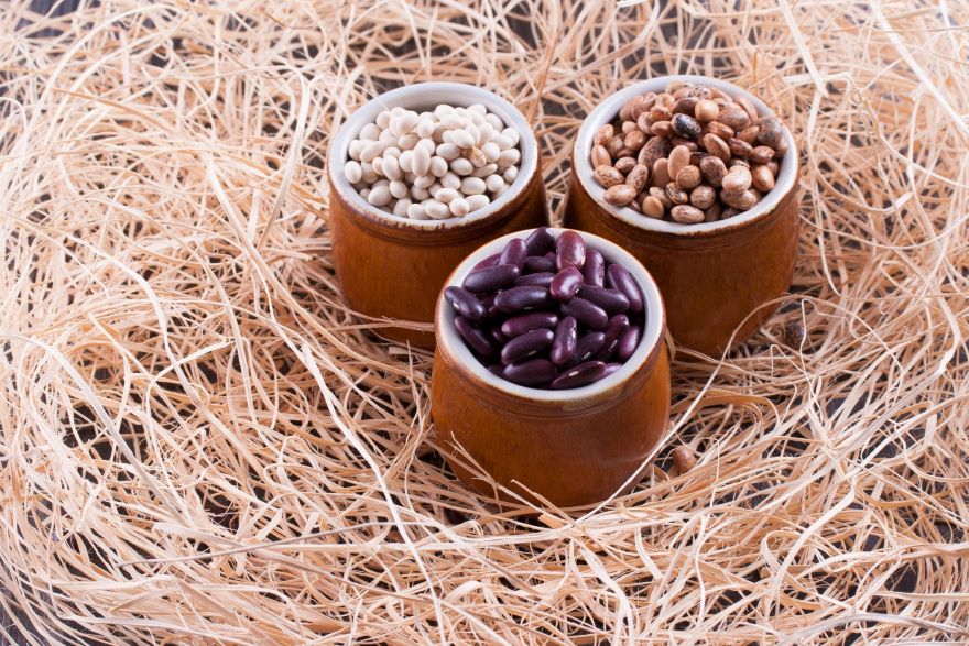 Great Northern Beans vs Navy Beans: Which to Choose - My Nutrition Foods