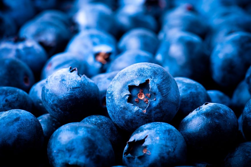 Organic Blueberries: Benefits and Growing Practices - My Nutrition Foods