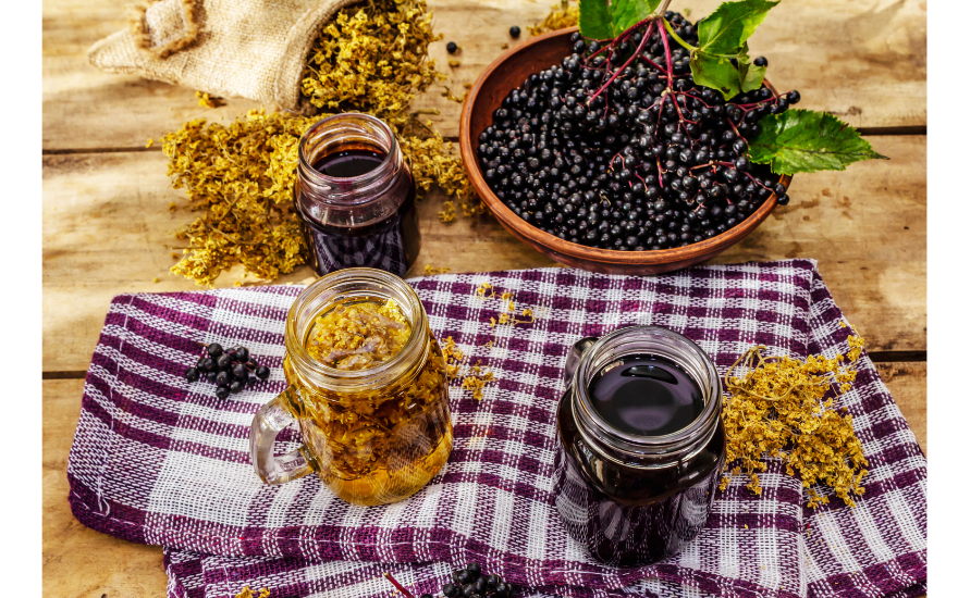 Exploring the Culinary Magic of Dried Elderberries - My Nutrition Foods