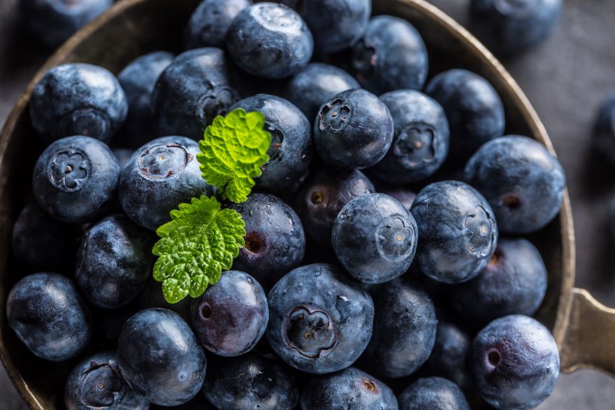 How To Unleash The Power of Fresh Blueberries - My Nutrition Foods