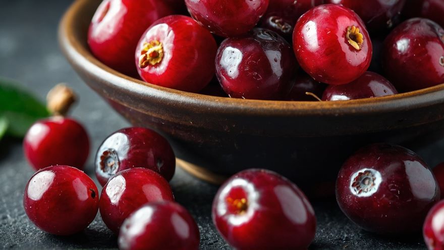 Exploring the World of Fresh Cranberries - My Nutrition Foods