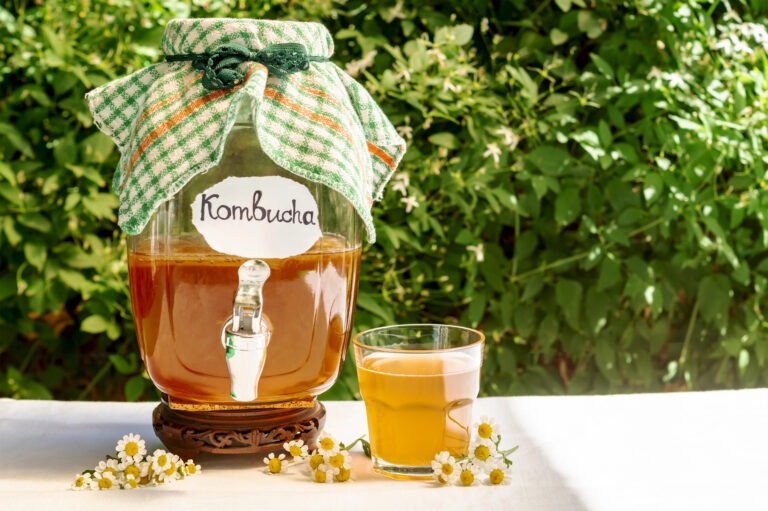 From Skeptic to Superfan: My Gluten-Free Kombucha Adventure - My ...